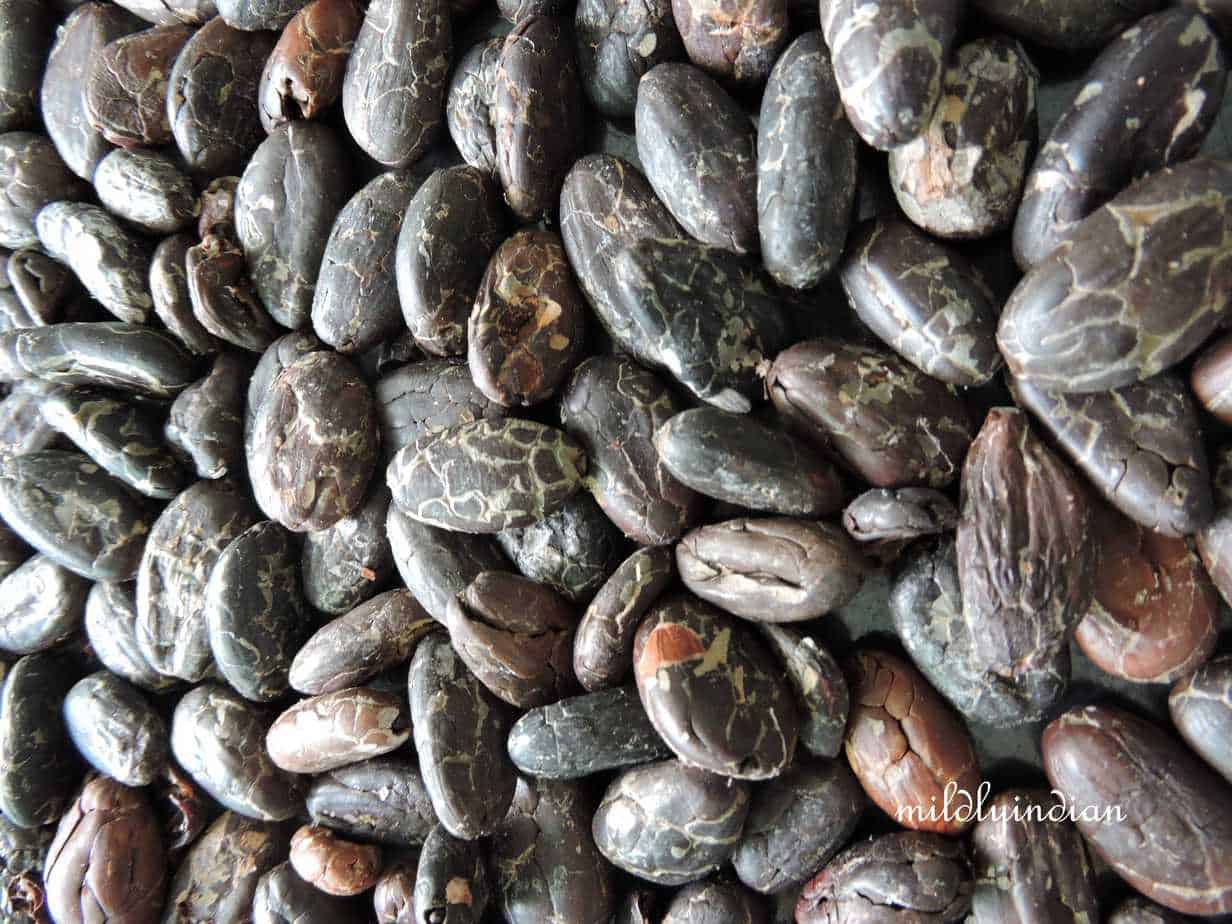 Dark chocolate paddle pops – Mildly Indian