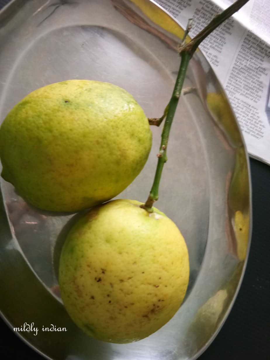 Non oily citron pickle – Mildly Indian