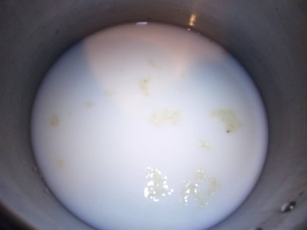 Paalada prathaman- easy pressure cooker payasam. – Mildly Indian