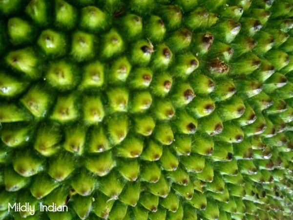 Jackfruit rind curry – Mildly Indian