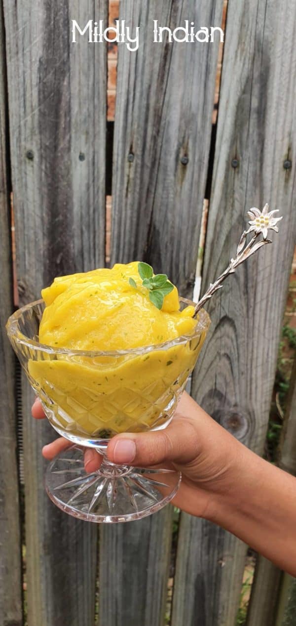 Summer best Mango Basil Sorbet – Mildly Indian