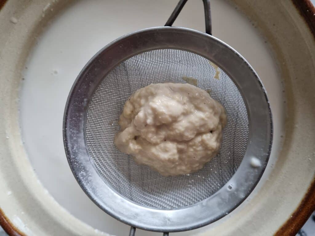 Extracting and understanding gluten – Mildly Indian