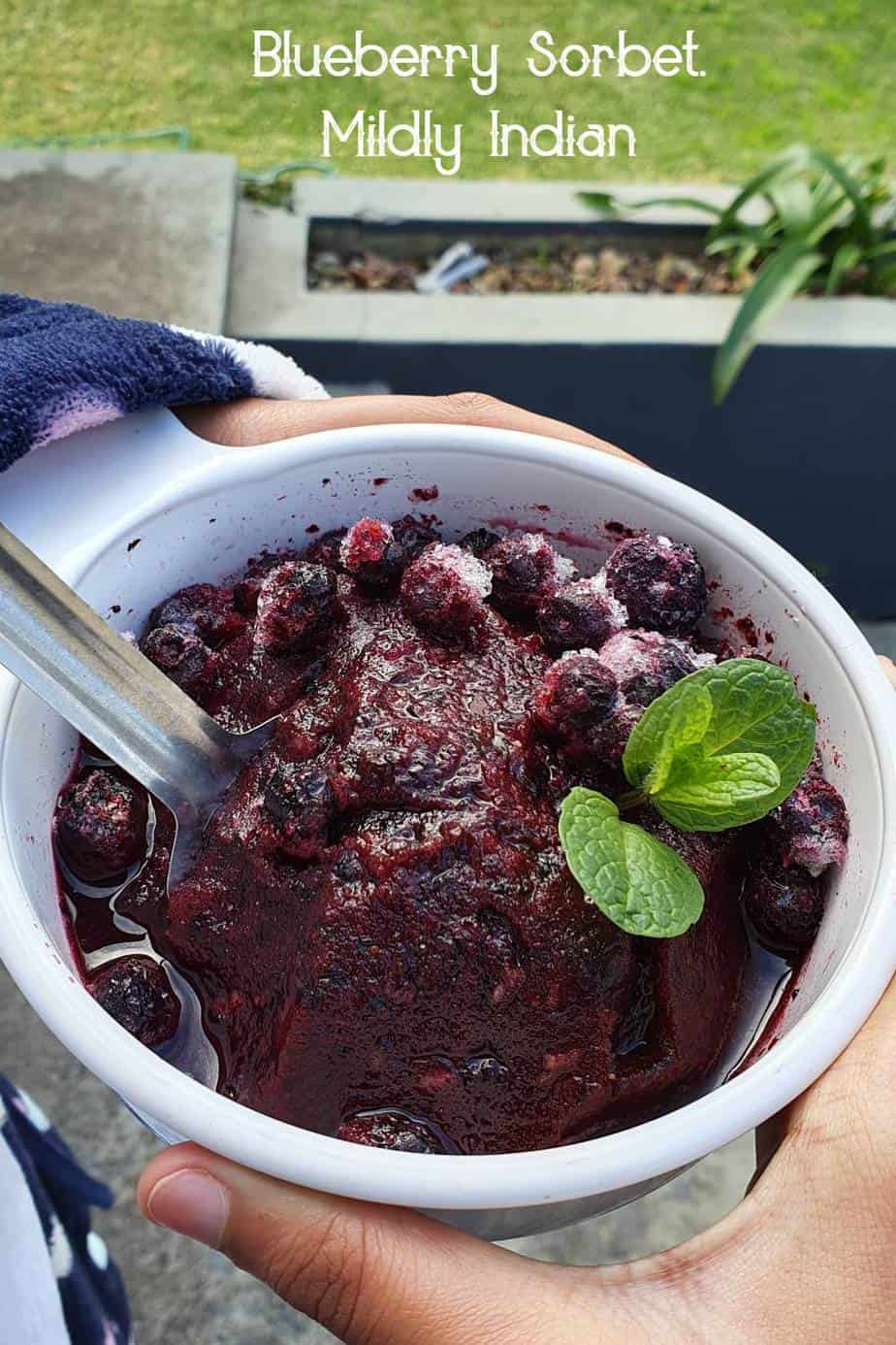 Just two-ingredient blueberry sorbet. – Mildly Indian