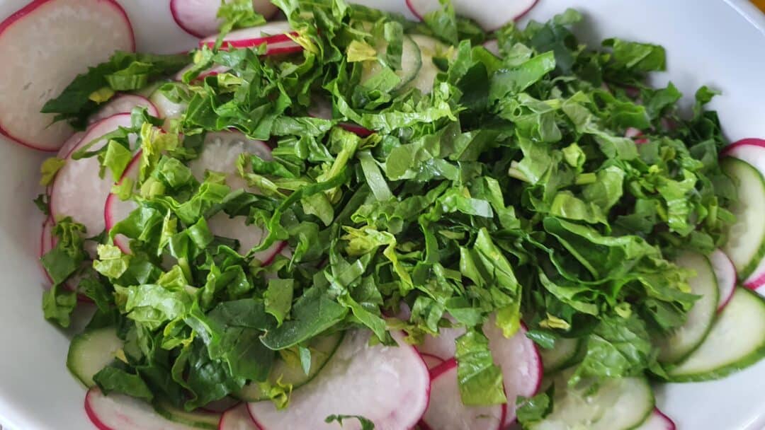 Spinach, radish and cucumber salad. – Mildly Indian