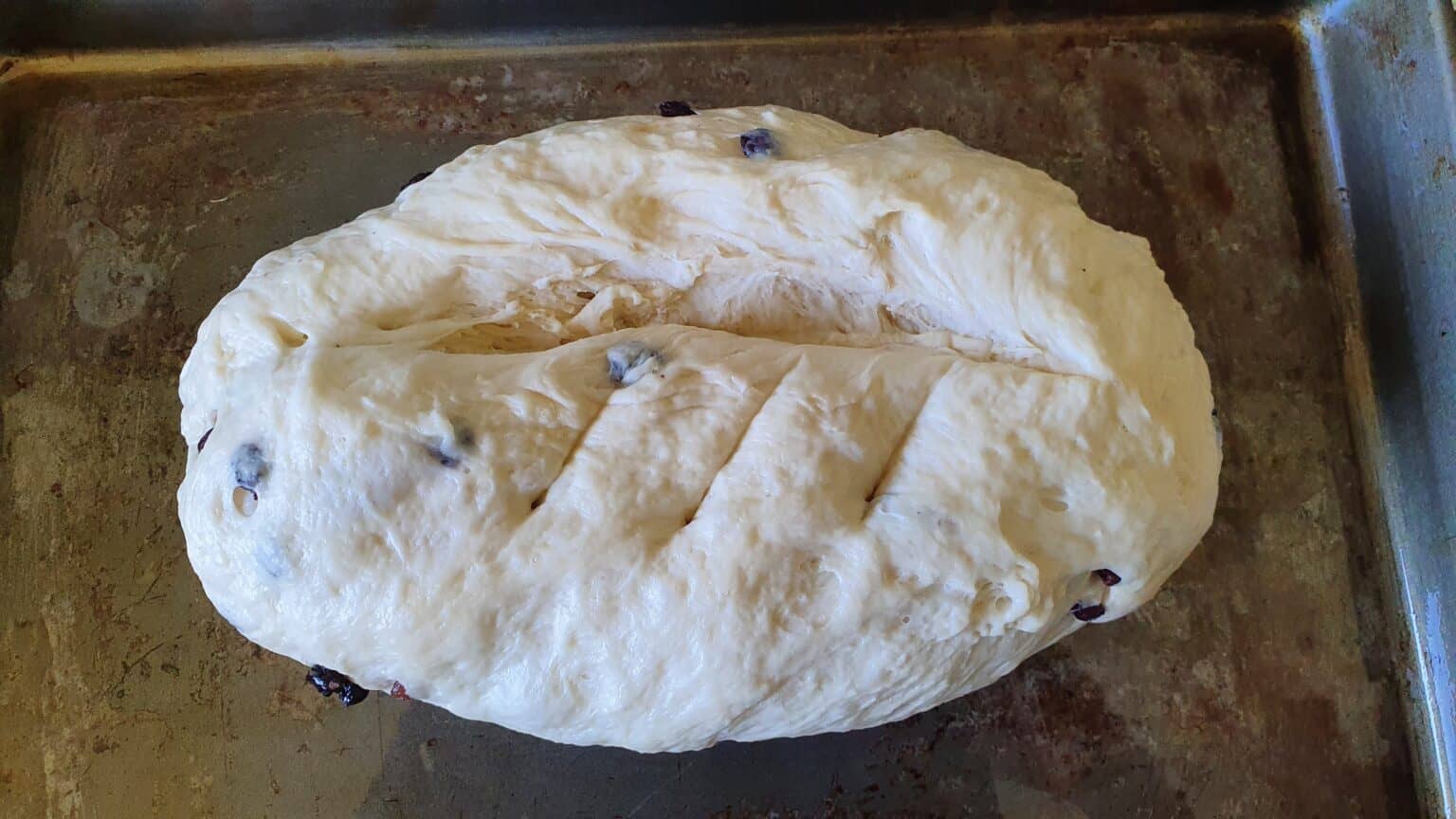 Blackcurrant bread loaf – Mildly Indian