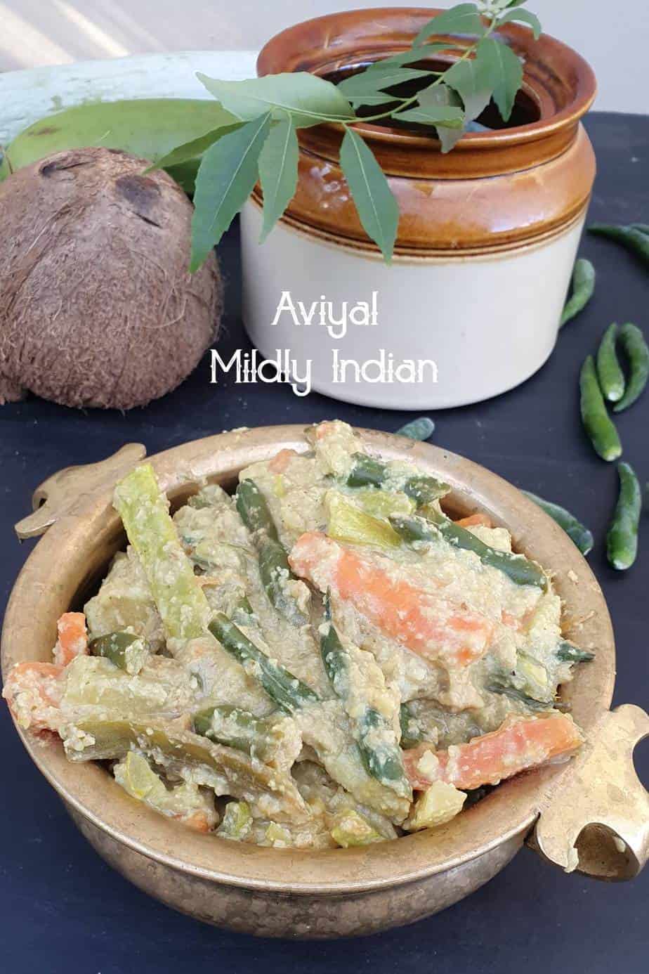 Sadhya Aviyal / Mixed vegetable curry in coconut gravy. – Mildly Indian