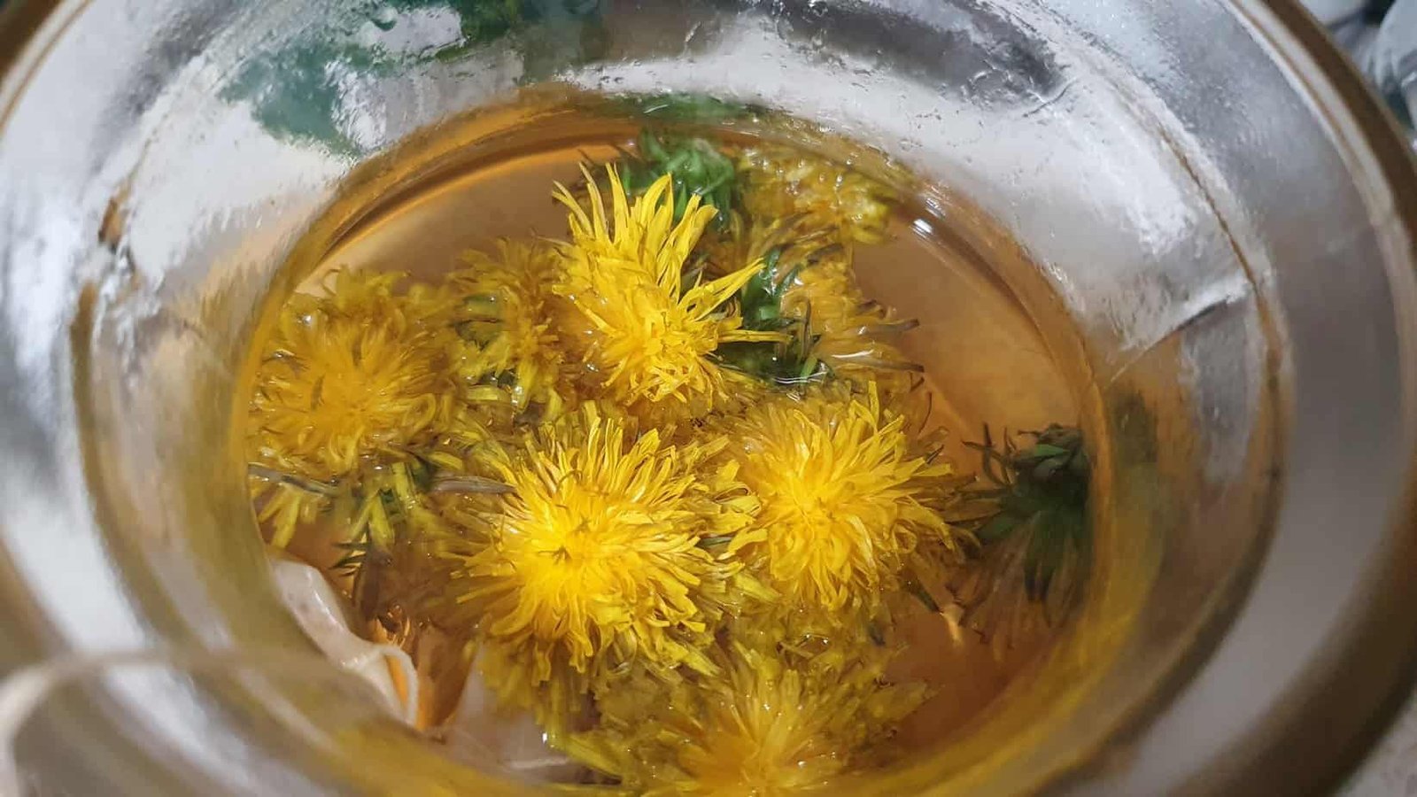 Dandelion tea with fresh flowers – Mildly Indian