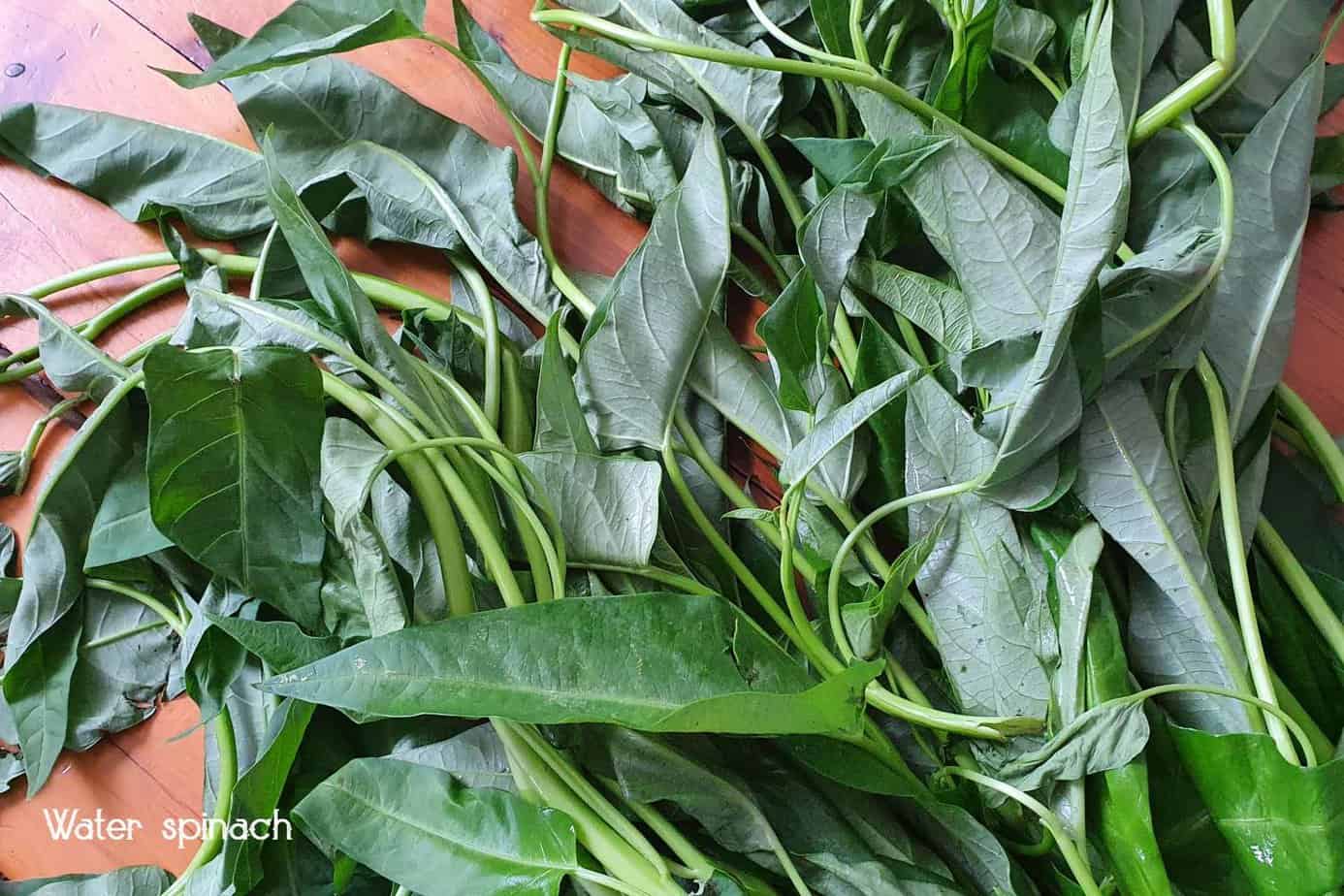 Kolmi shaak baaja | Water spinach stirfry – Mildly Indian