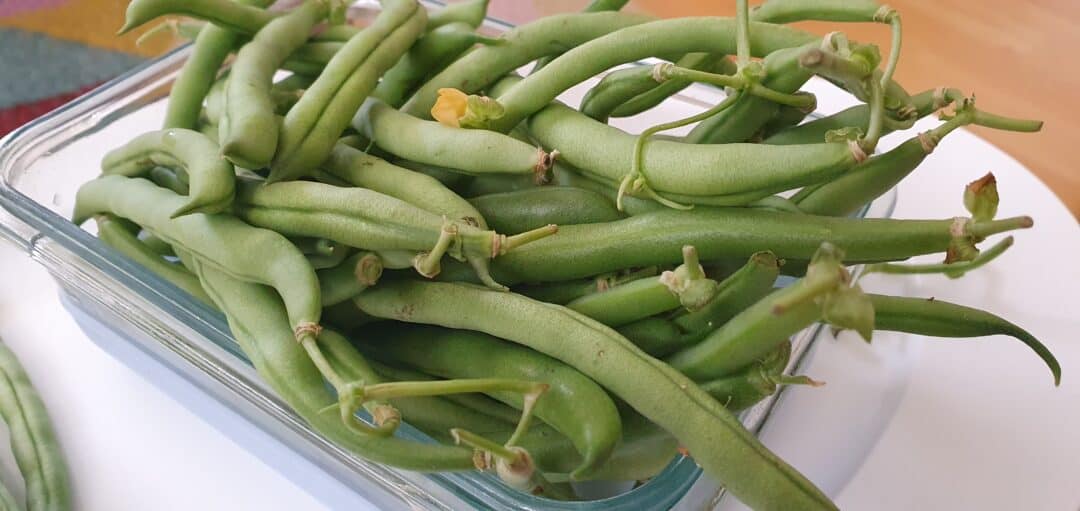 Beans aloo sabji |Potato and beans curry – Mildly Indian